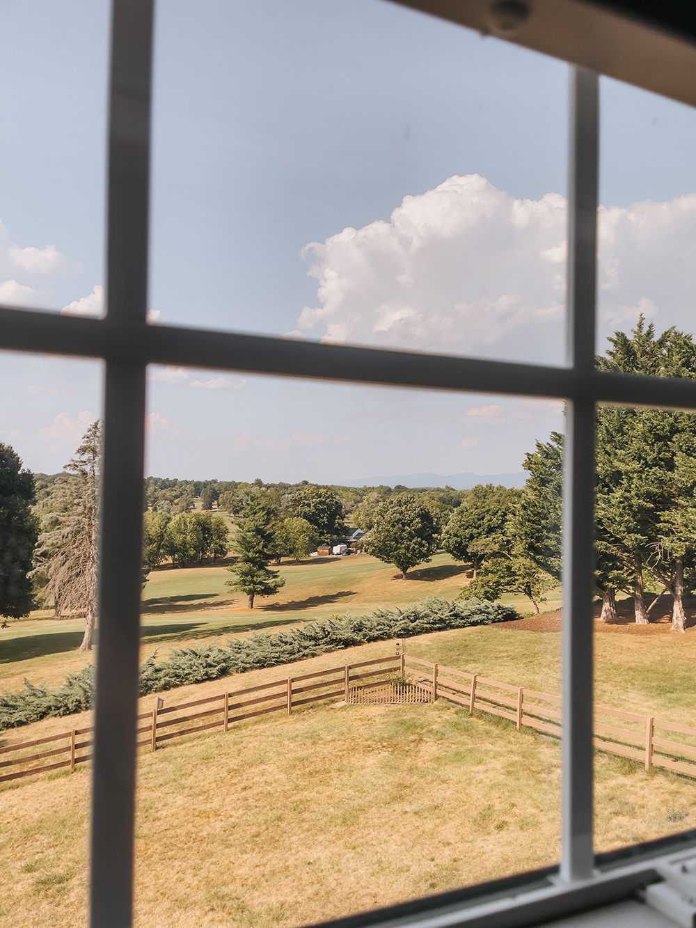 Botanical Window Alcove Wallpaper Project - Dream Green DIY