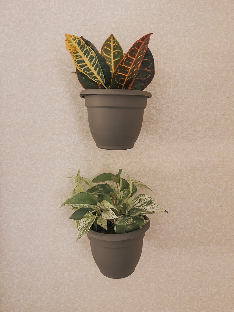 DIY Wall-Mounted Gardening Idea - Dream Green DIY