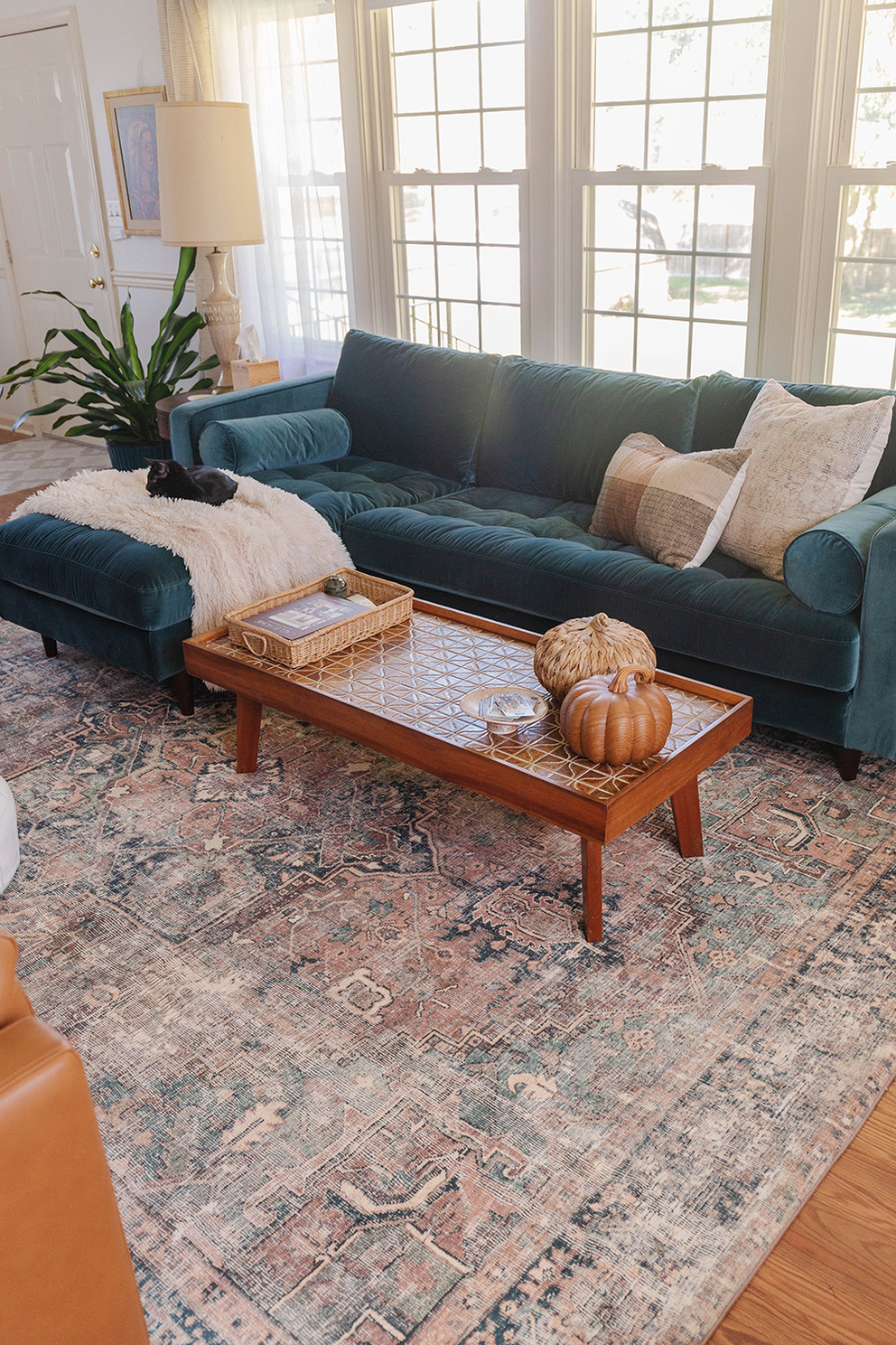 My Top Prime Day Loloi Rugs Deals - Dream Green DIY