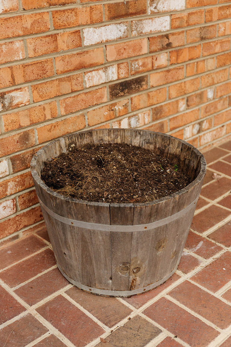 DIY Winter Barrel Garden For Your Porch - Dream Green DIY