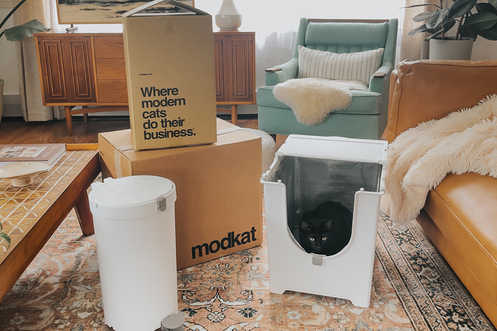 My New Favorite Modern Cat Litter Box - Dream Green DIY