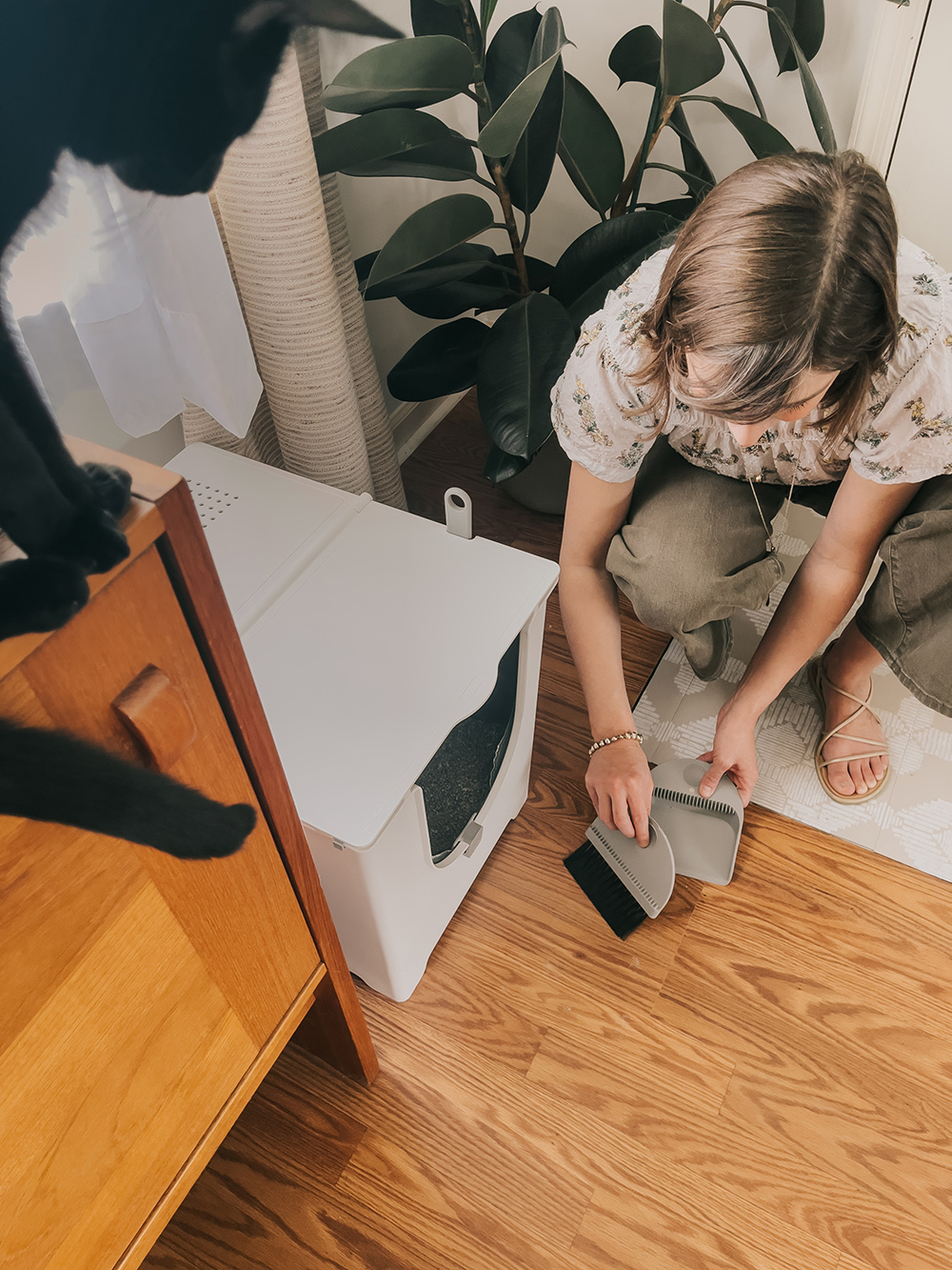 My New Favorite Modern Cat Litter Box - Dream Green DIY