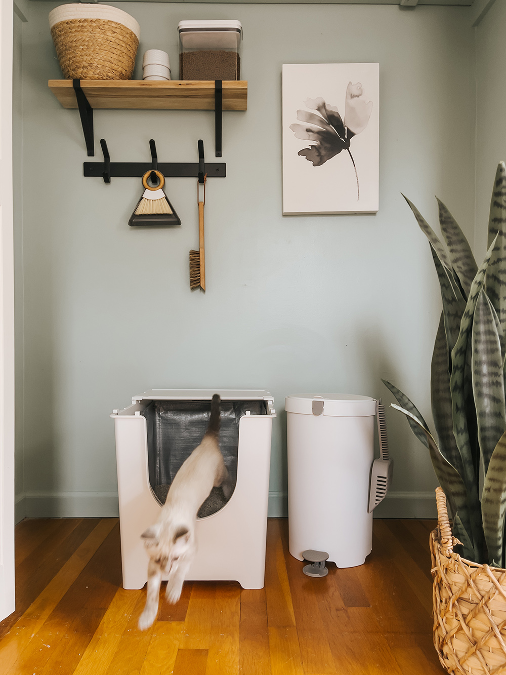 My New Favorite Modern Cat Litter Box - Dream Green DIY