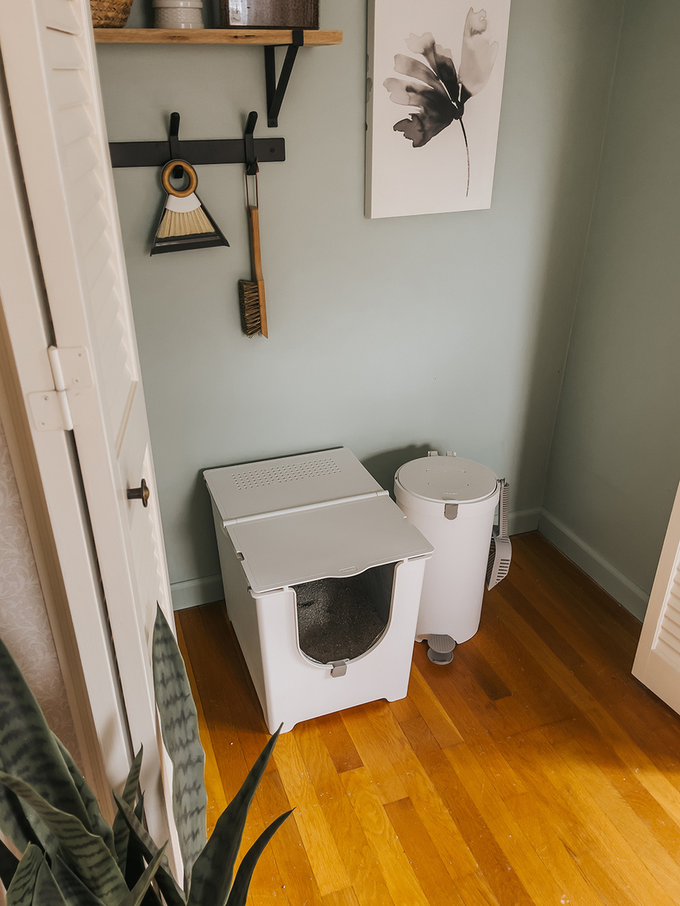 My New Favorite Modern Cat Litter Box - Dream Green DIY