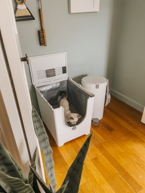My New Favorite Modern Cat Litter Box - Dream Green DIY