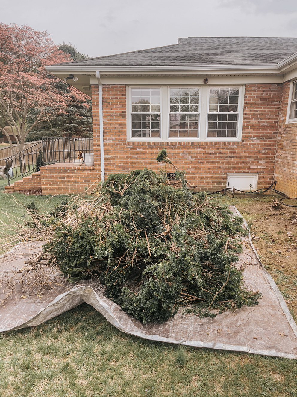 How To Build A DIY Hardscape Patio - Dream Green DIY