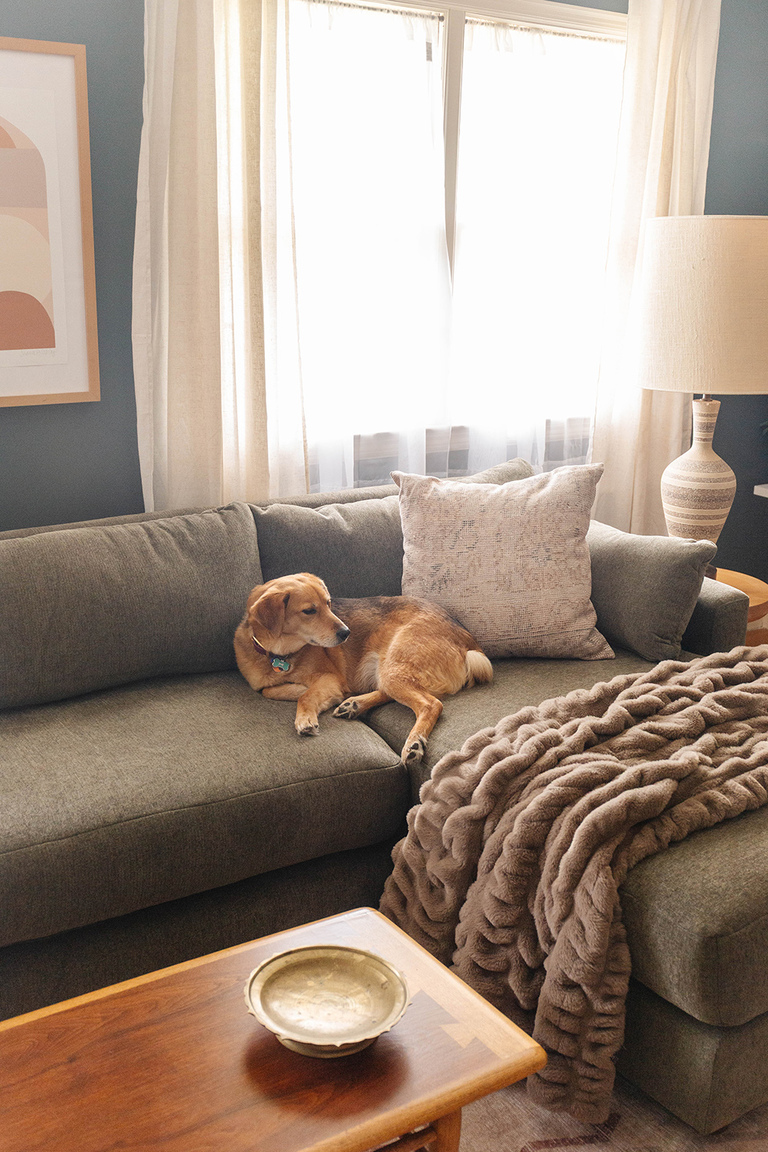 Burrow Span Sleeper Sofa Review - Dream Green DIY